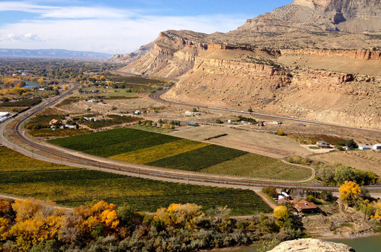 About Advance Colorado